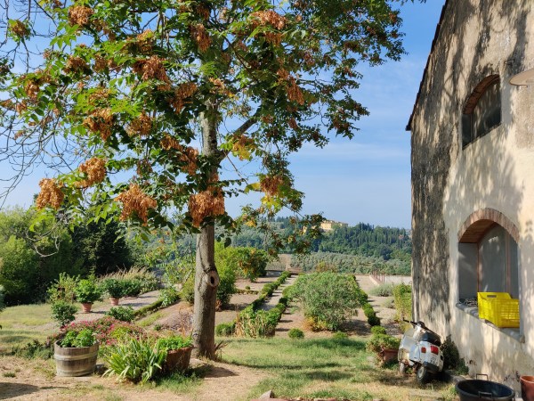 Florence Vineyard Day Trip-Girls Trip 2021 – Travels with Melinda